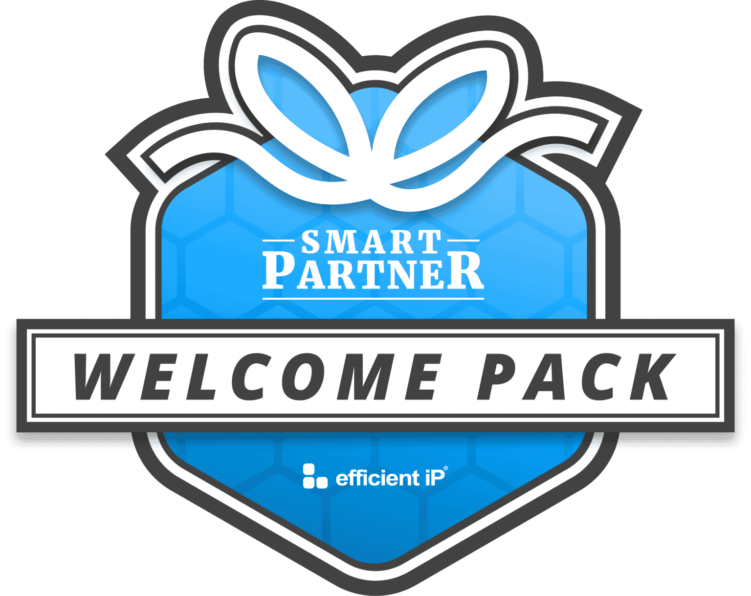 Partner Program | DNS, DHCP, IPAM Solutions | EfficientIP