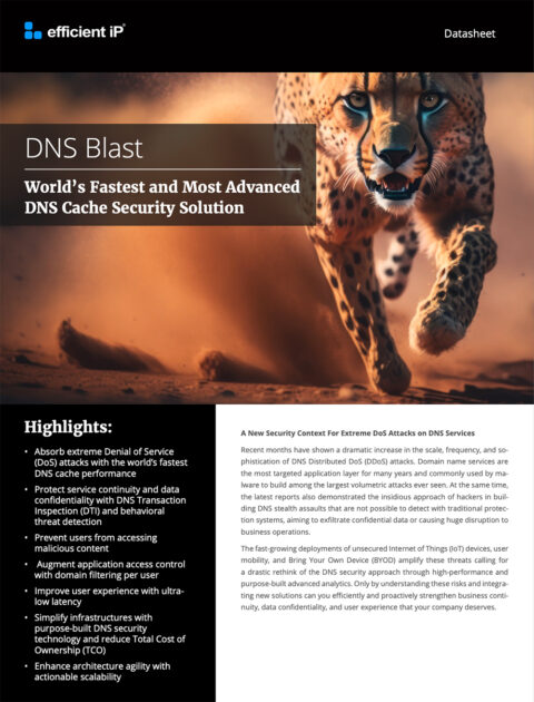 EfficientIP DNS Intelligence Center | EfficientIP