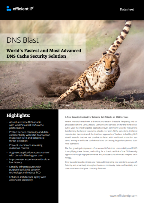 DNS Threat Pulse: Leverage DNS Threat Intelligence for a Proactive ...