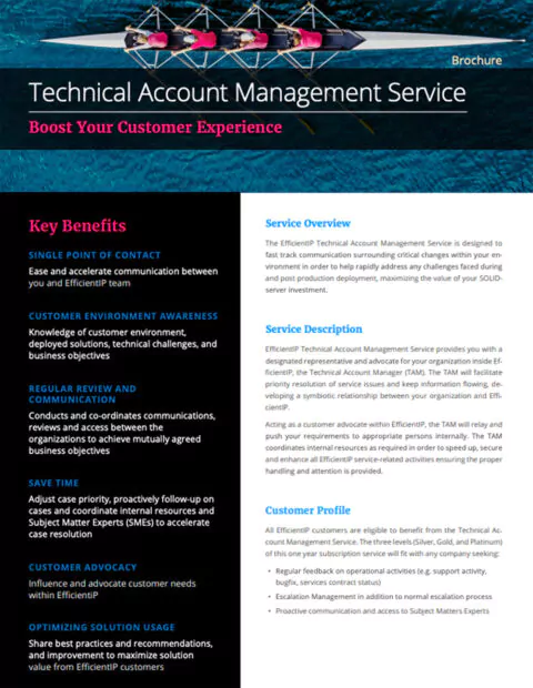 Technical Account Management Service | EfficientIP