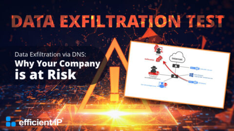 New Infographic on IDC 2023 Global DNS Threat Report | EfficientIP