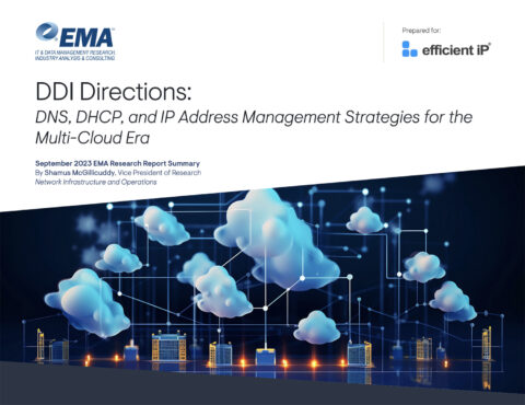 IDC 2021 Global DNS Threat Report | Network Security