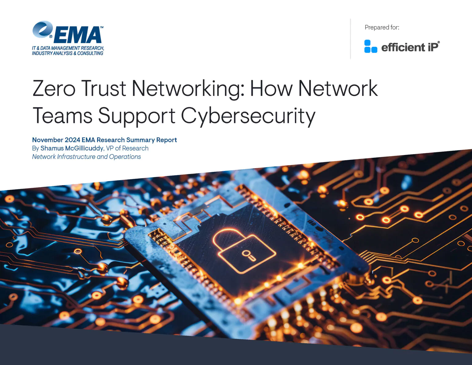 IDC 2021 Global DNS Threat Report | Network Security